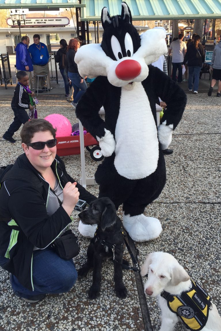 Pre Trained Diabetic Alert Dogs Available | Service Dog Academy