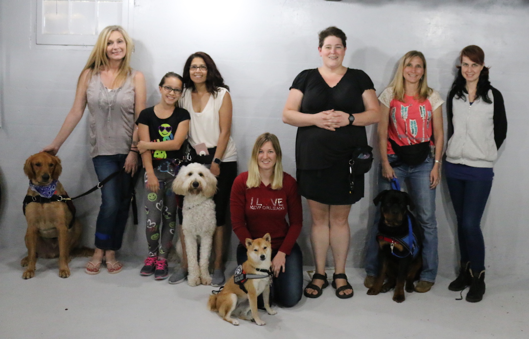 Train My Own Dog | Service Dog Academy